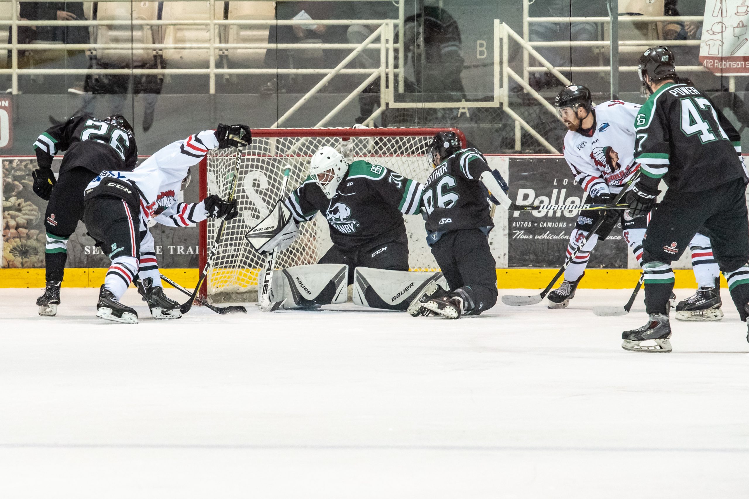 Belle entrée en matière pour les Bisons - Le Granby Express