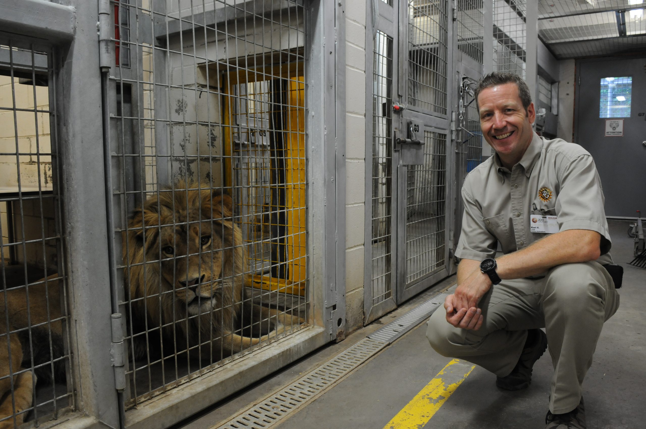 Zoo de Granby: «On a tout mis en place pour créer la distanciation ...