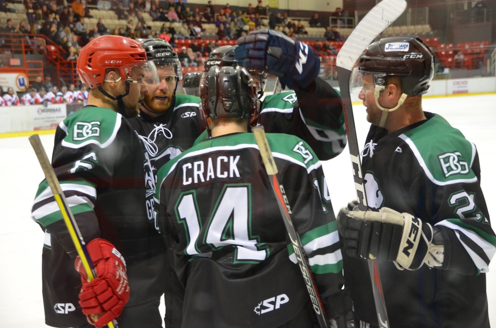 LHSAAAQ: les Bisons nommés équipe de l’année - Le Granby Express