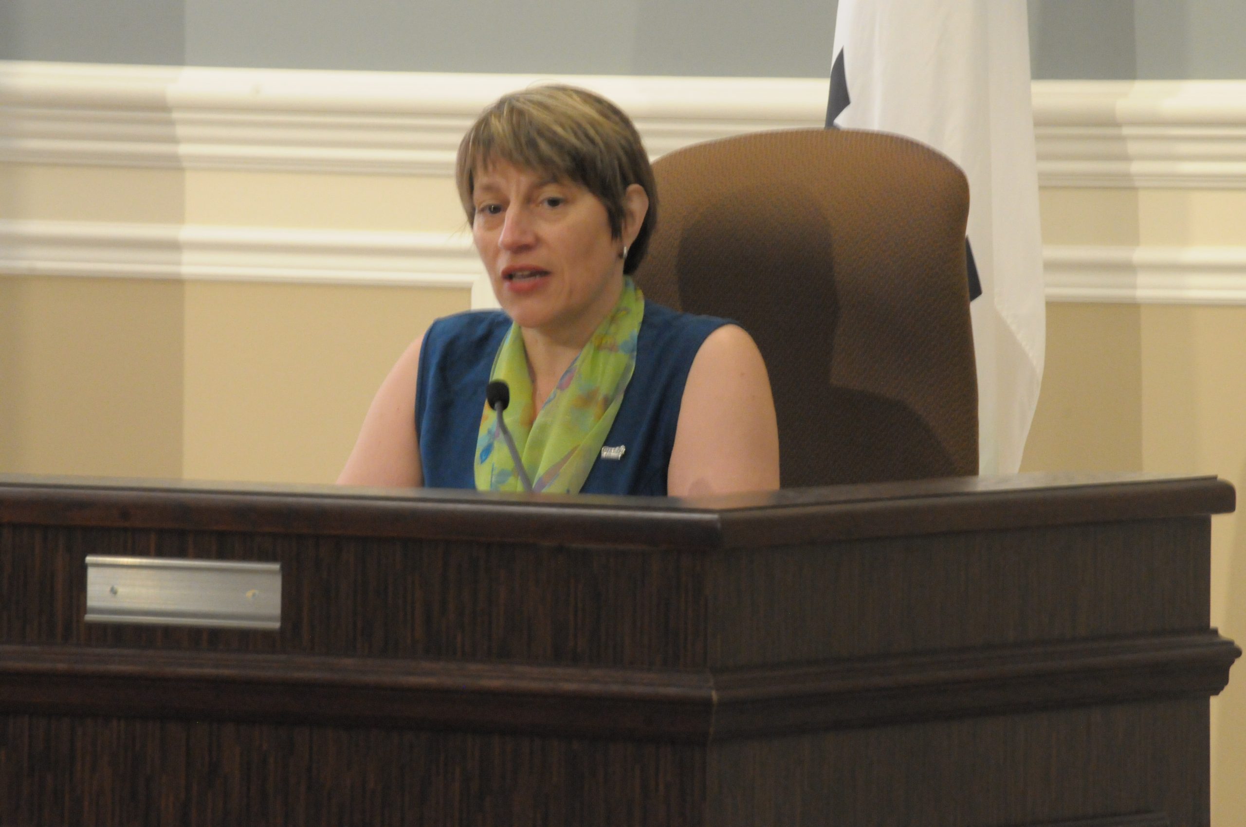 Plan environnement: «Le travail ne fait que commencer»_Catherine Baudin ...