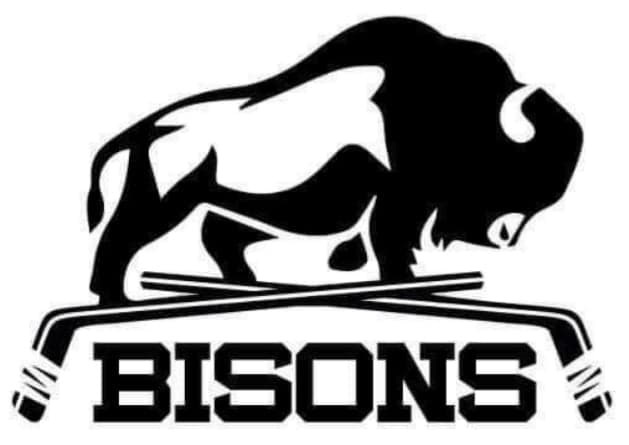 Hockey senior: les Bisons transigent encore - Le Granby Express