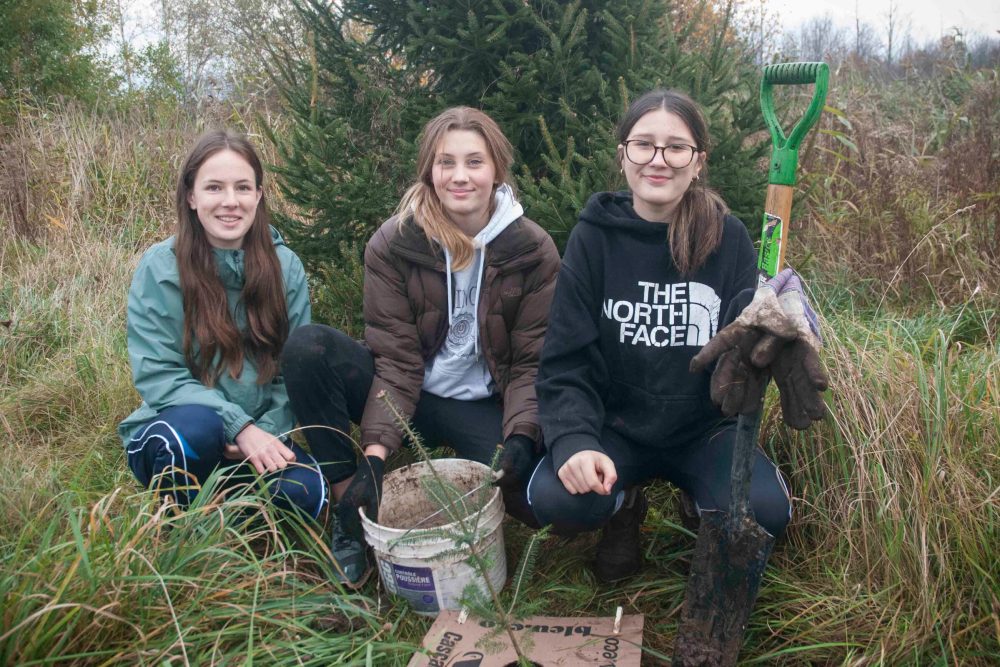 Plantation d'arbres et d'arbustes: gros automne pour la Fondation SÉTHY ...
