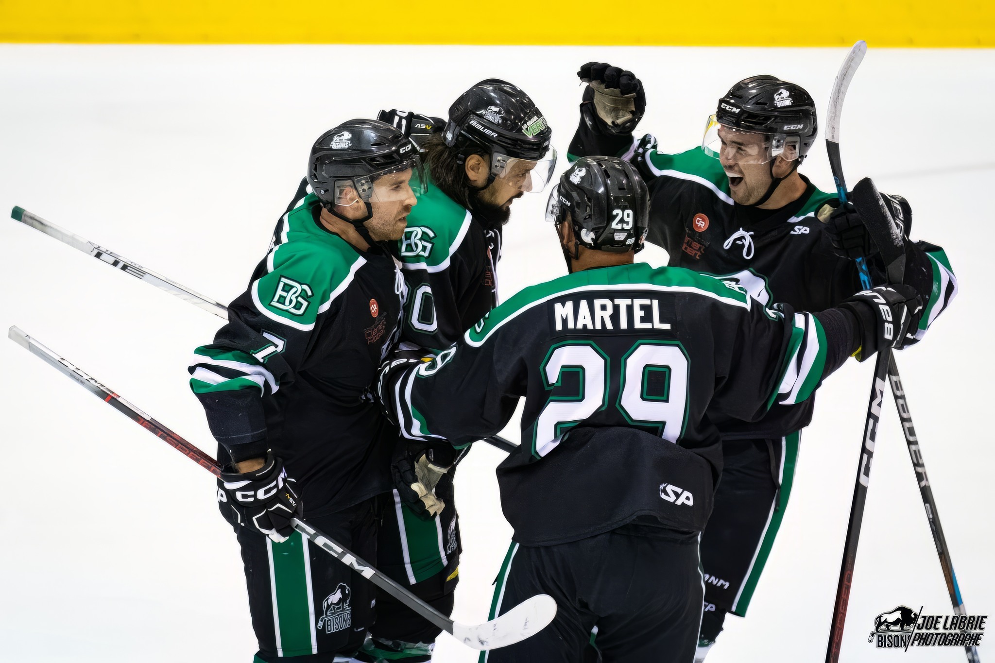 Les Bisons rebondissent - Le Granby Express