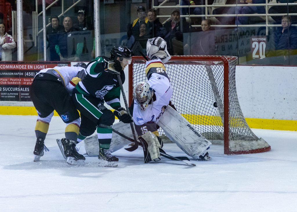 Un heureux retour pour les Bisons - Le Granby Express