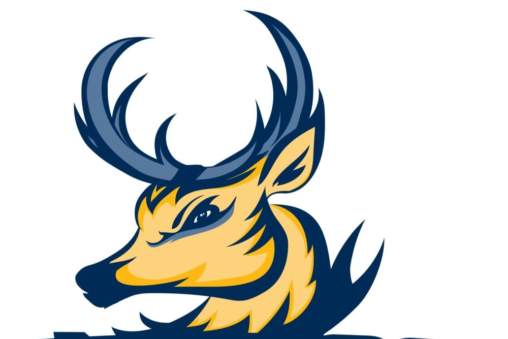 Début officiel de L'Indigo - Le Granby Express