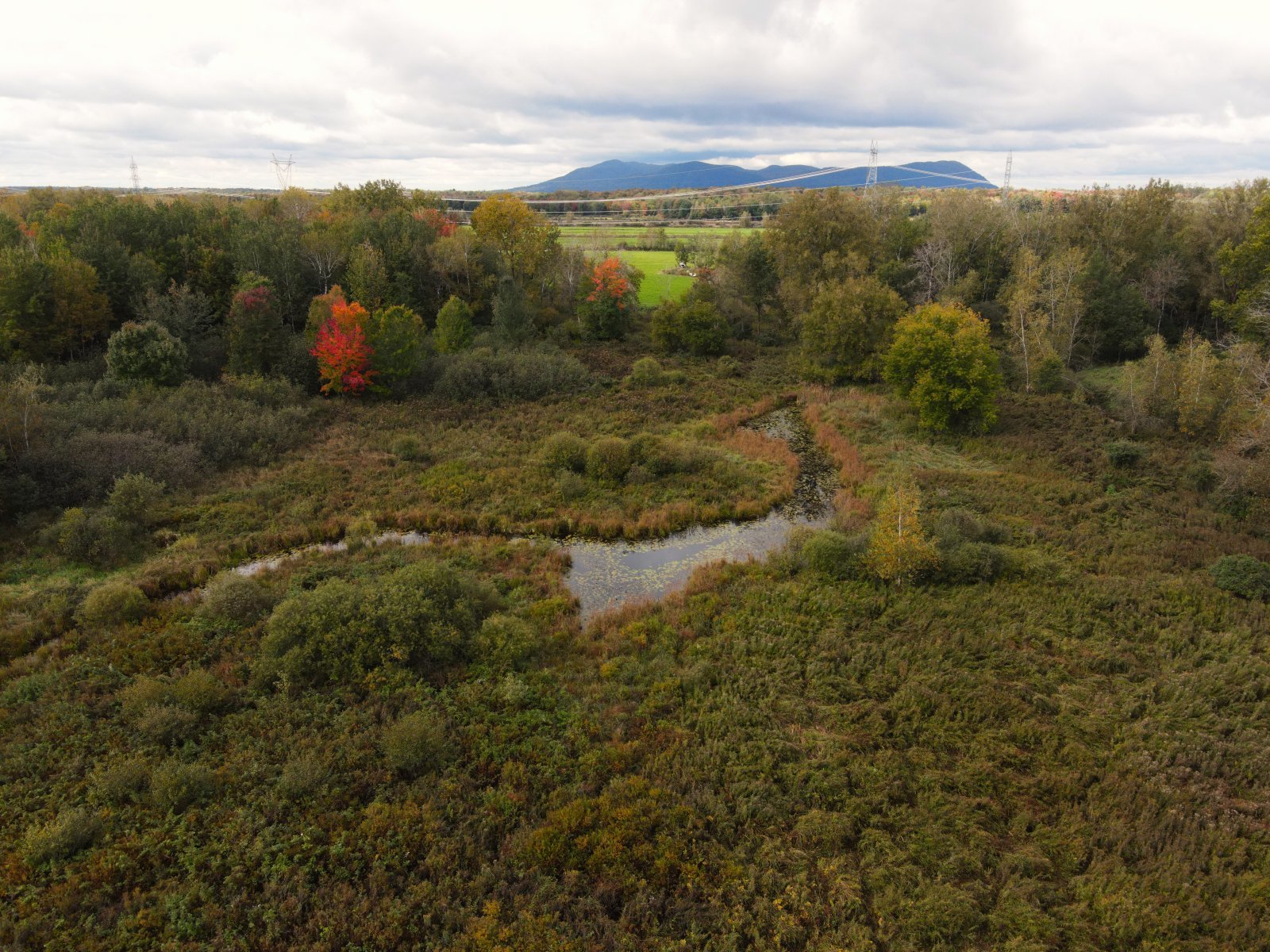Tourbière Mawcook: la Fondation SÉTHY acquiert un milieu naturel pour le protéger - Le Granby ...