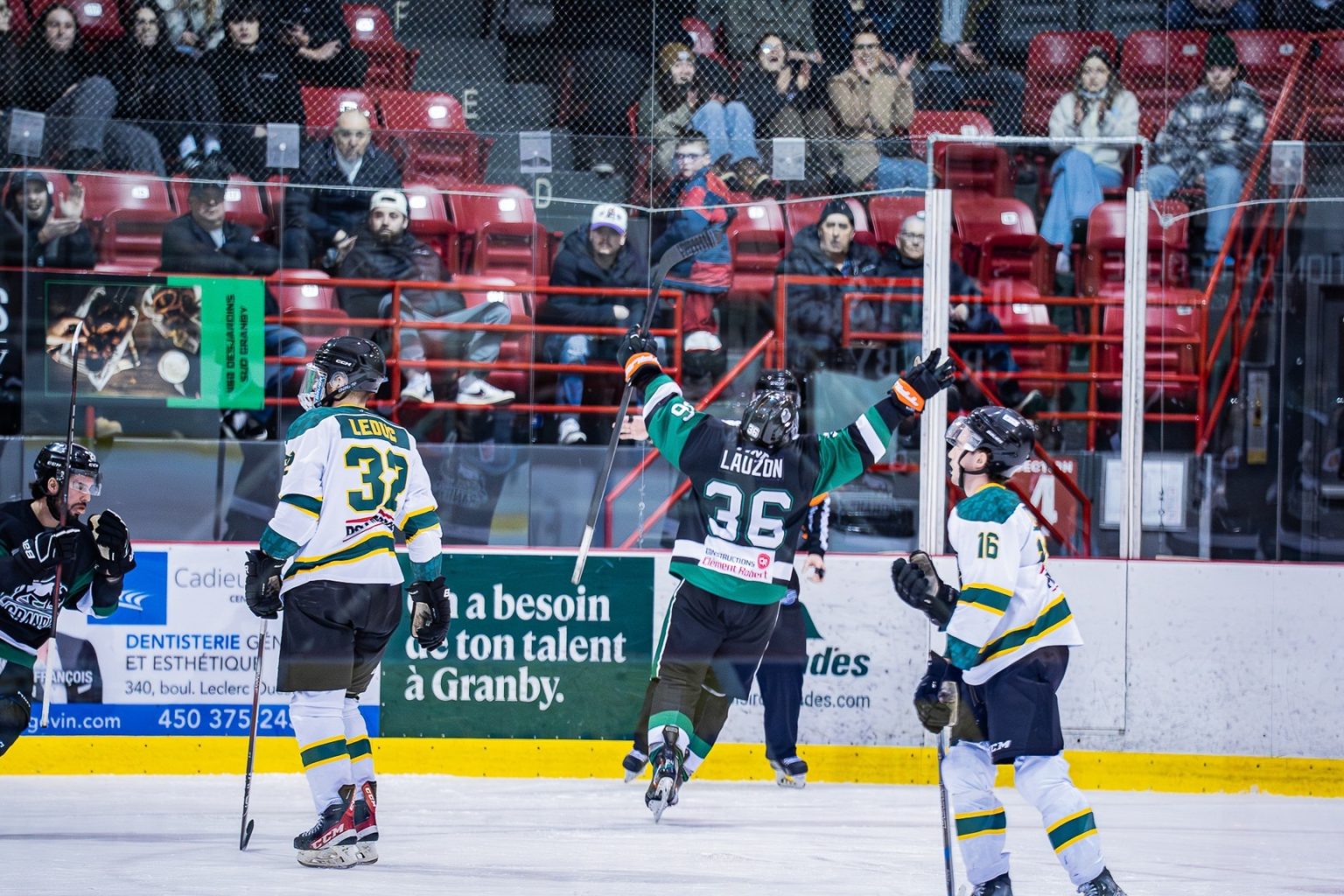 Les Bisons complètent le balayage face au National - Le Granby Express