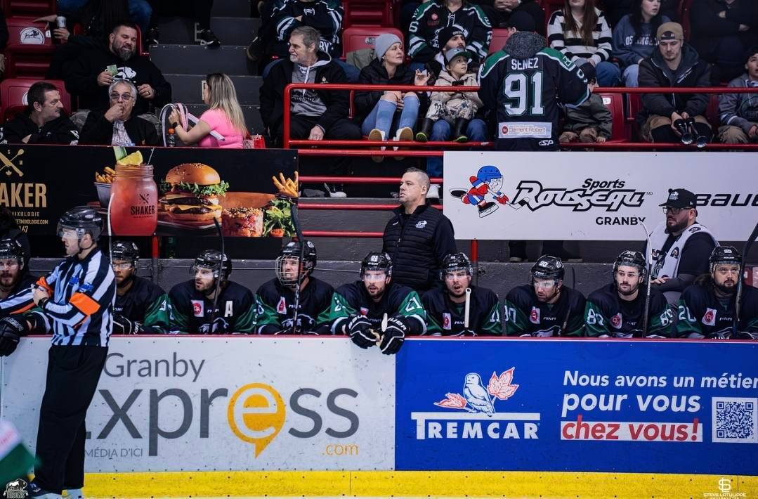 LHSAAAQ: un week-end déterminant pour les Bisons - Le Granby Express