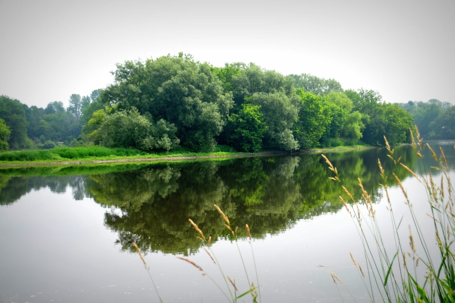 Près de 888 000 $ pour un projet de verdissement dans la rivière ...