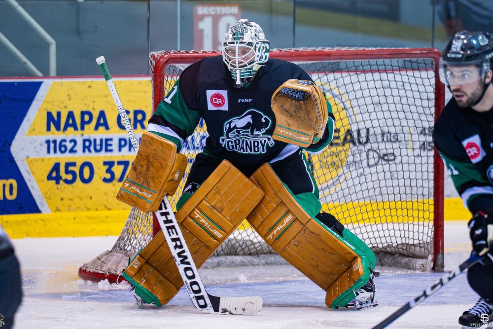 William Théberge donne la victoire aux Bisons en prolongation - Le ...